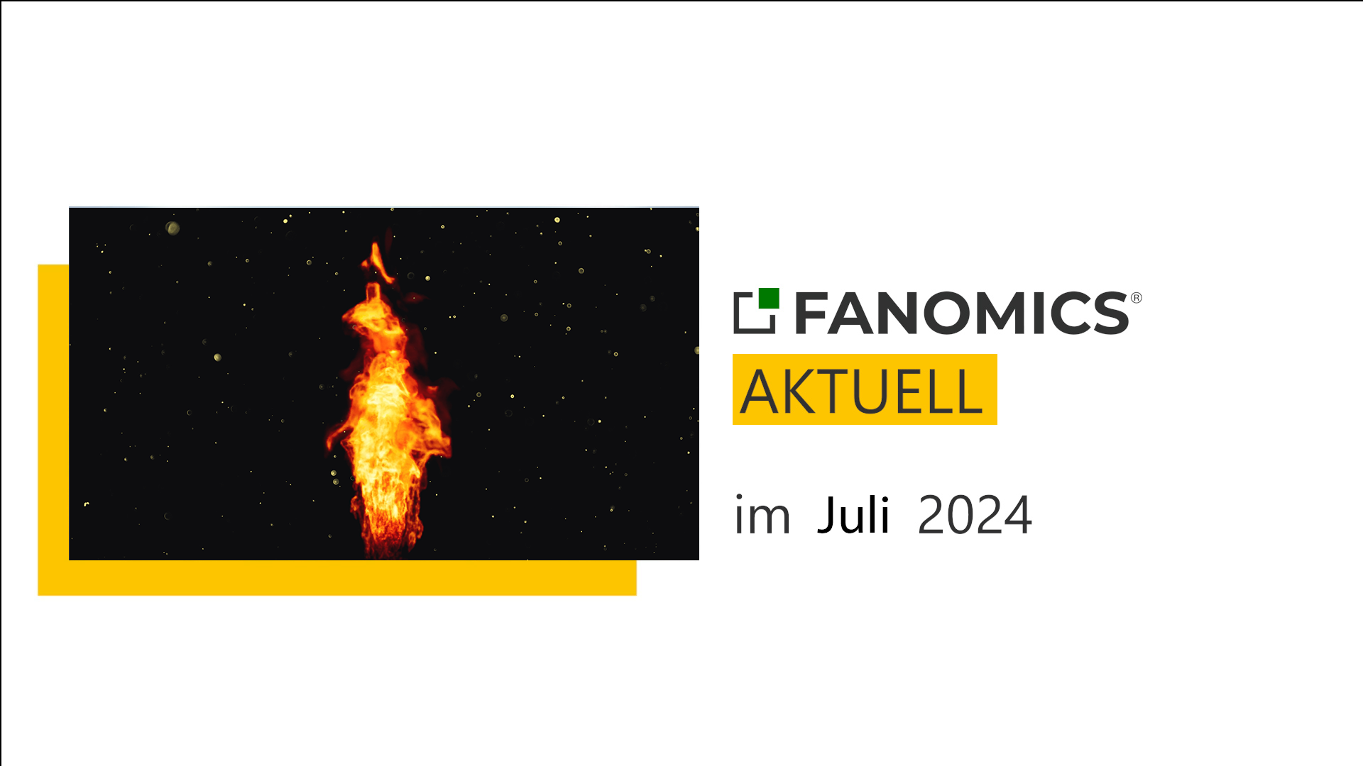 FANOMICS Aktuell Juli 2024 - fanomics.de